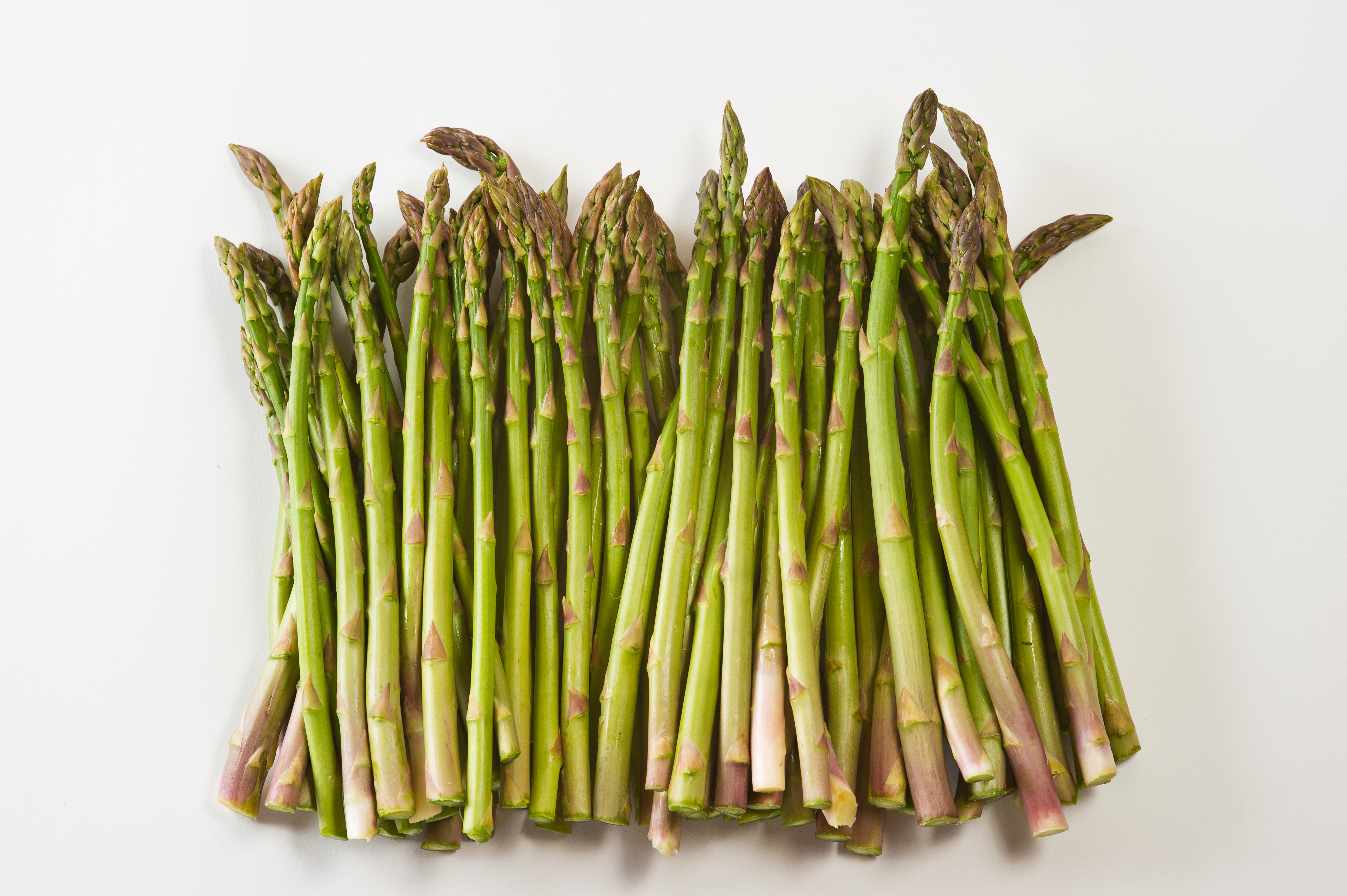 Marchfelder Spargel - Korn- & Gemüsekammer